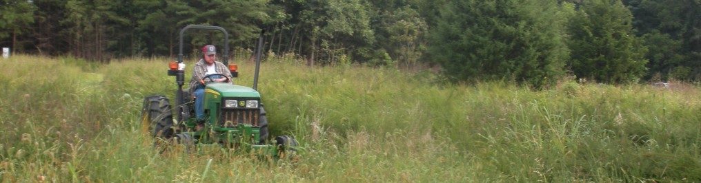 Mowing the field | Common Ground Ecovillage