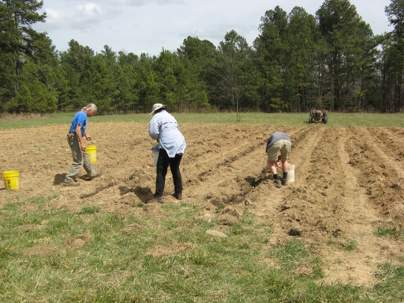 Potato Planting Project | Common Ground Ecovillage