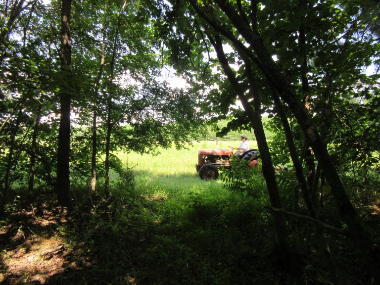 Farming | Common Ground Ecovillage