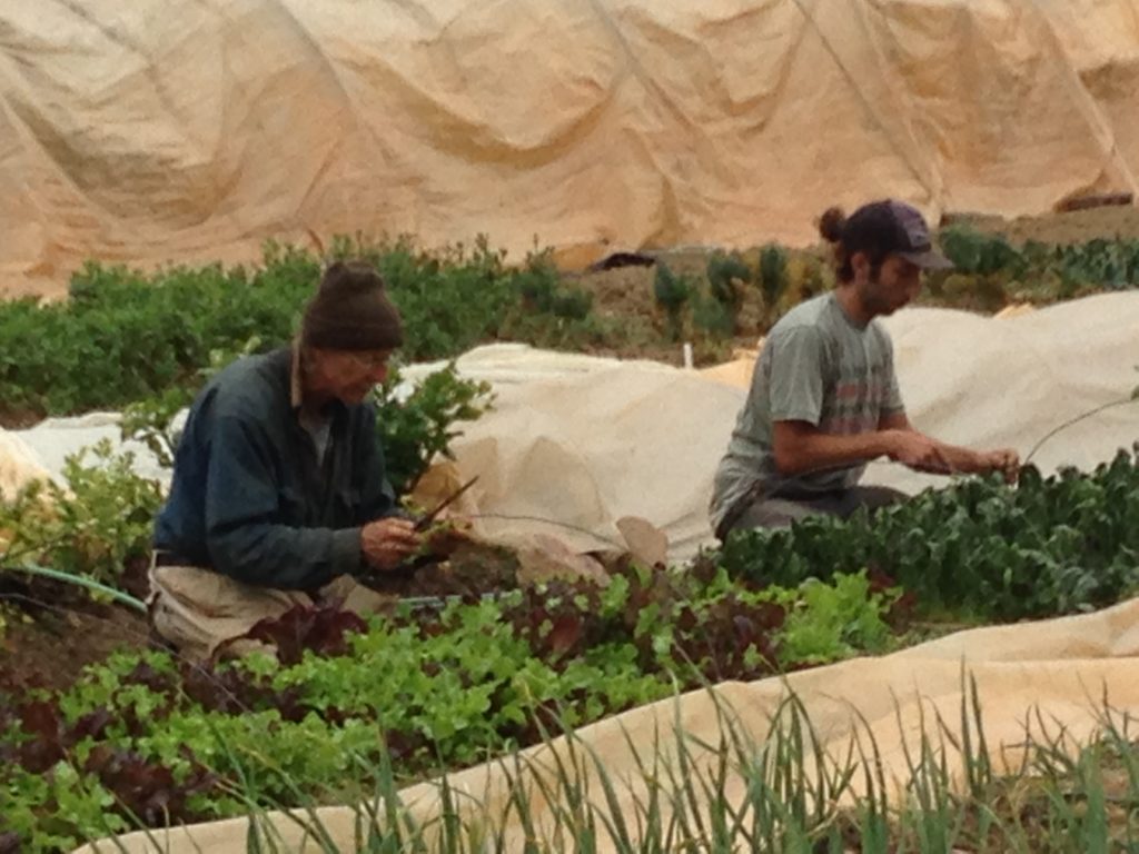 Common Ground Ecovillage