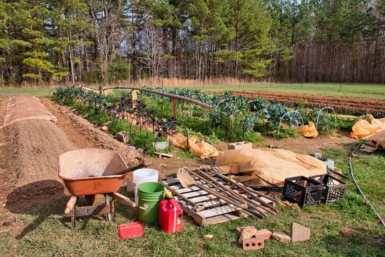 Common Ground Ecovillage